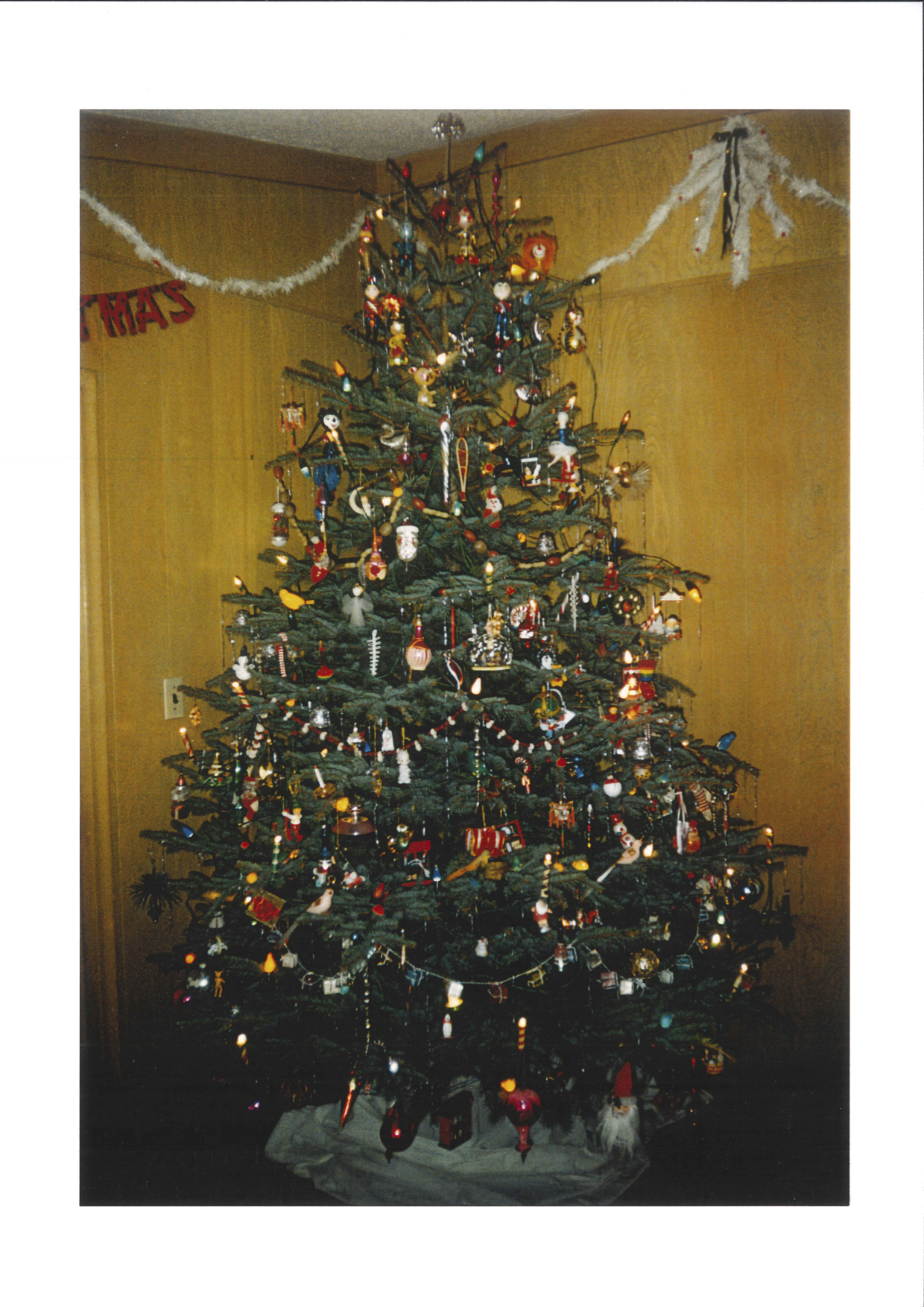 Der Christmas Tree – Christbaum-Sammlung Hanne Pohl